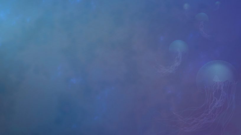 How to install more wallpaper packs on Fedora Workstation - Fedora Magazine