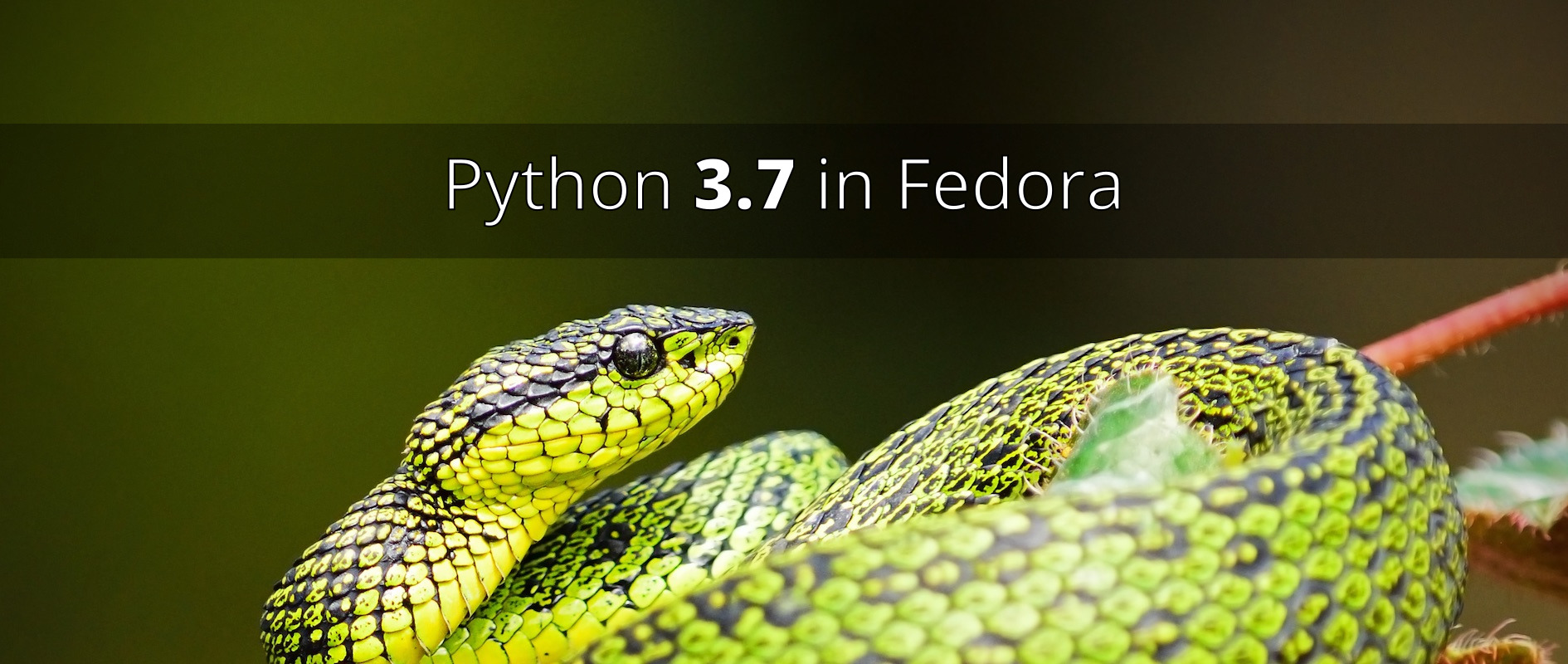 Python 3 7 Now Available In Fedora Fedora Magazine